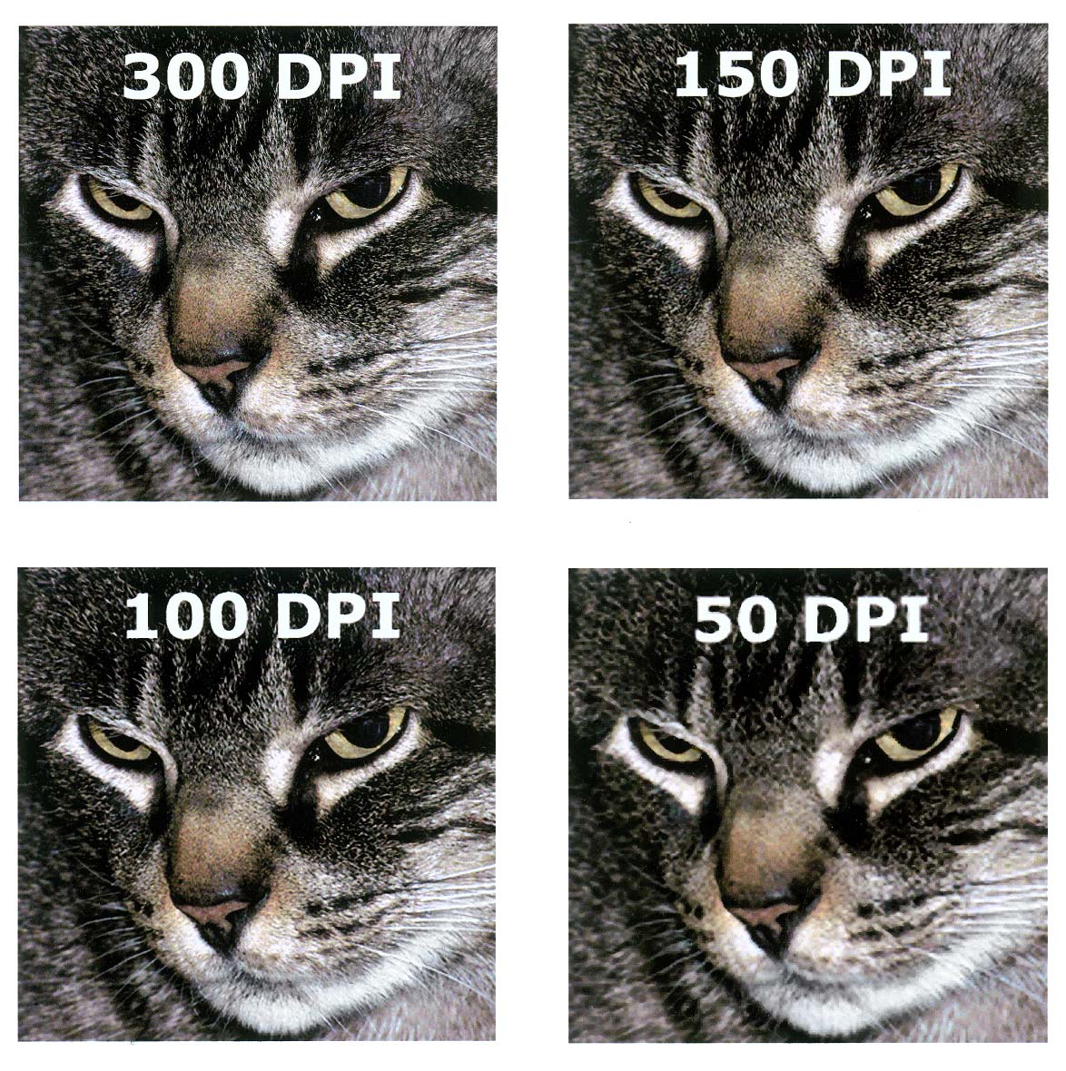 Photo And Digital Image File Sizes